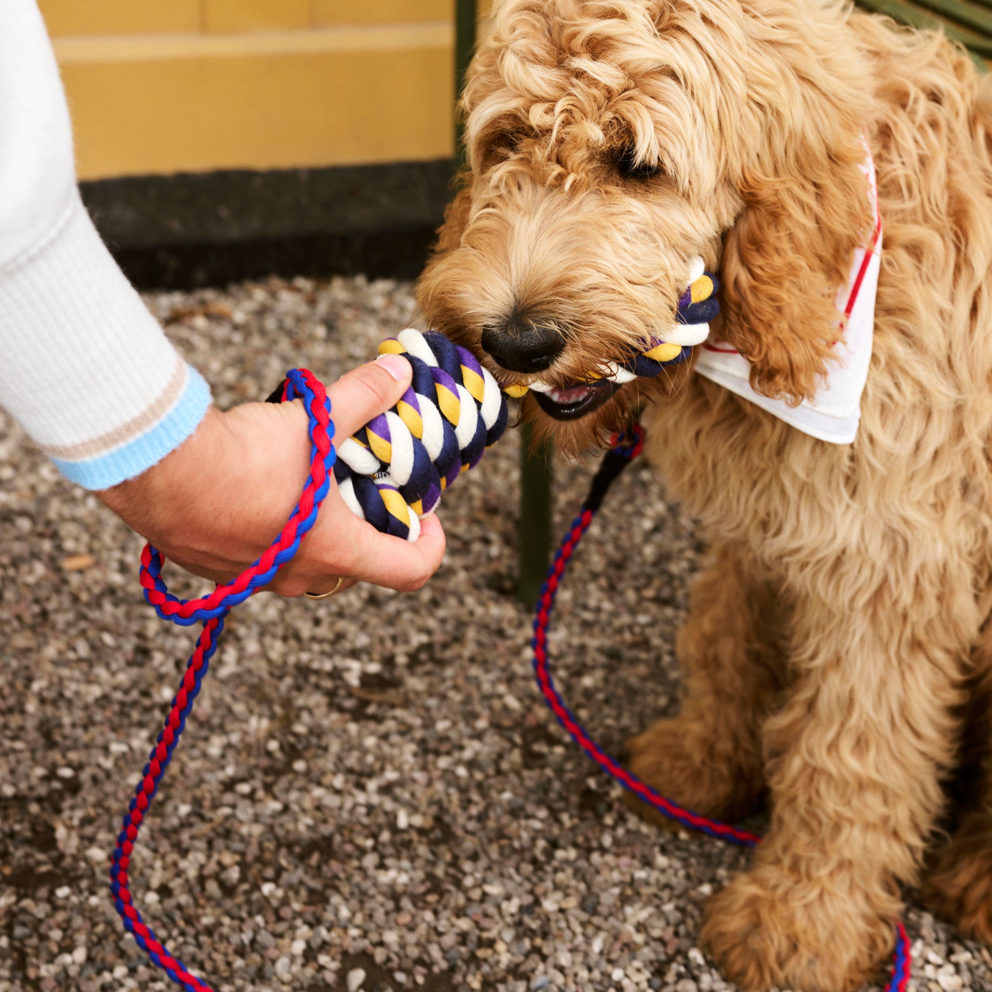 HAY Rope Toy for Dogs in Recycled Polyester - Blue/ Purple/ Ochre ...