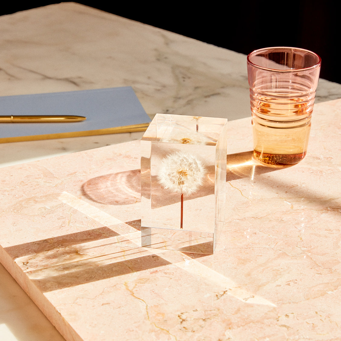 Dandelion Objet d'Art – MoMA Design Store