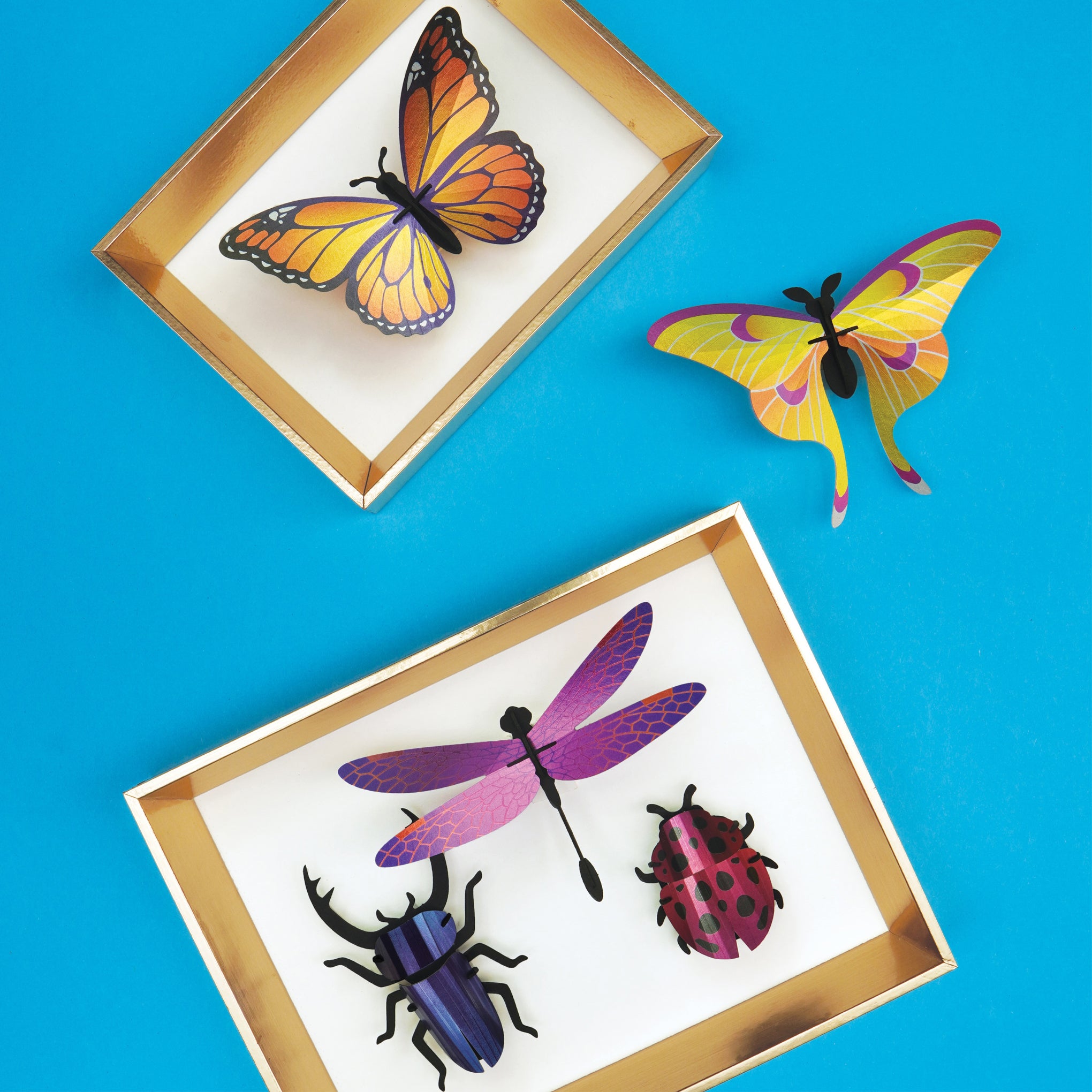 DIY 3D Shiny Insect Kit – MoMA Design Store