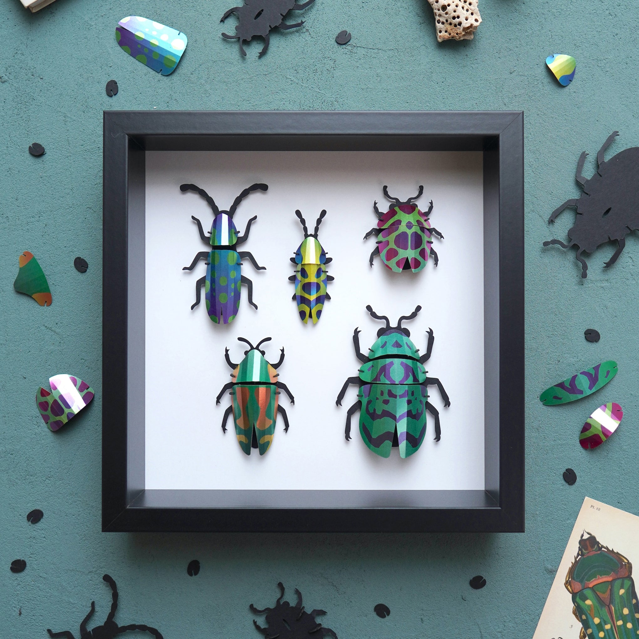 3D DIY Reflective Beetle Kit – MoMA Design Store