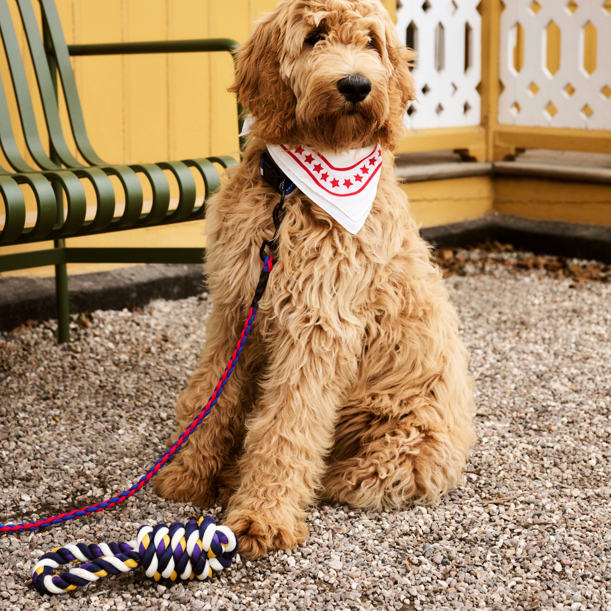HAY Rope Toy for Dogs in Recycled Polyester - Red/ Turquoise – MoMA ...