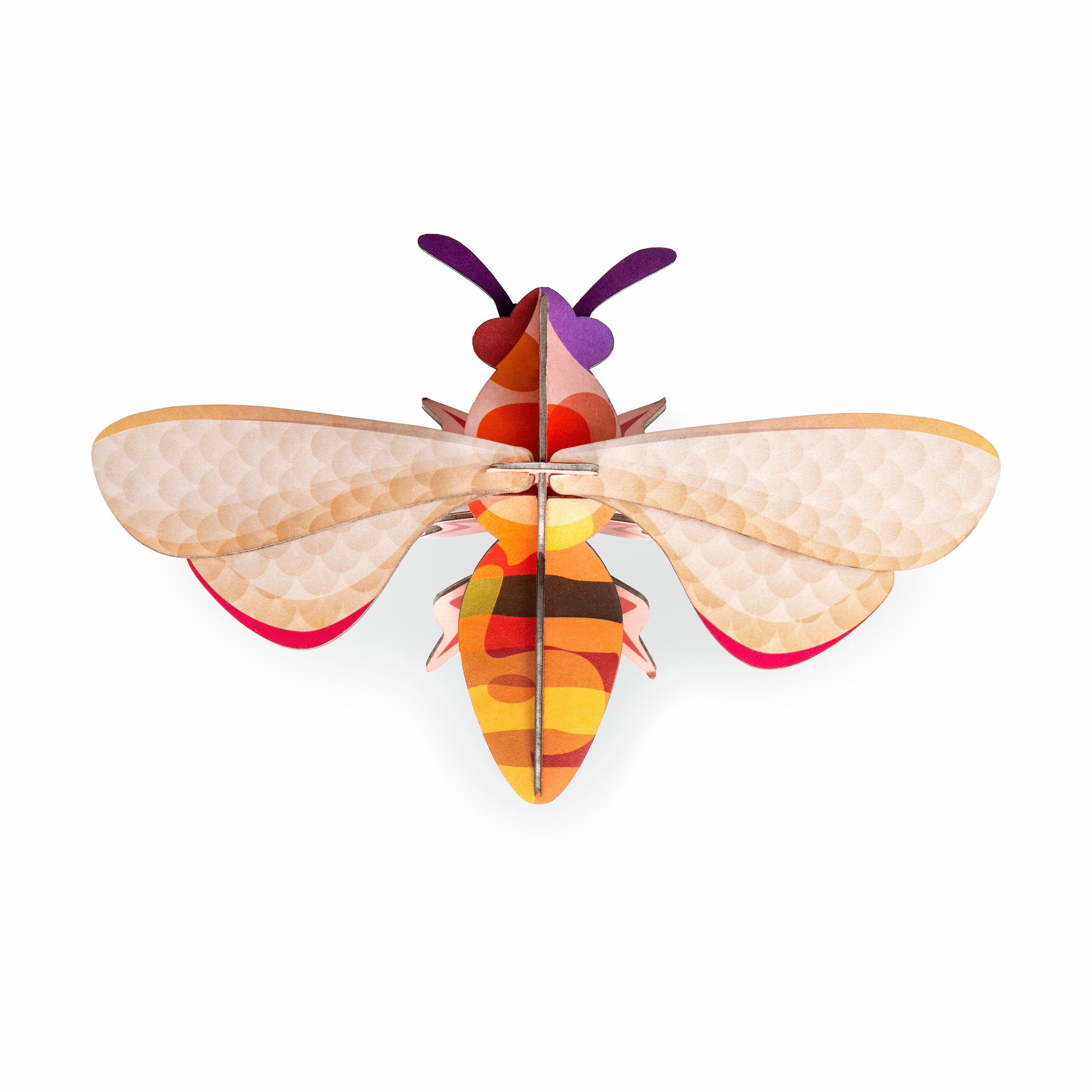 3D DIY Decorative Insects - Honey Bee – MoMA Design Store