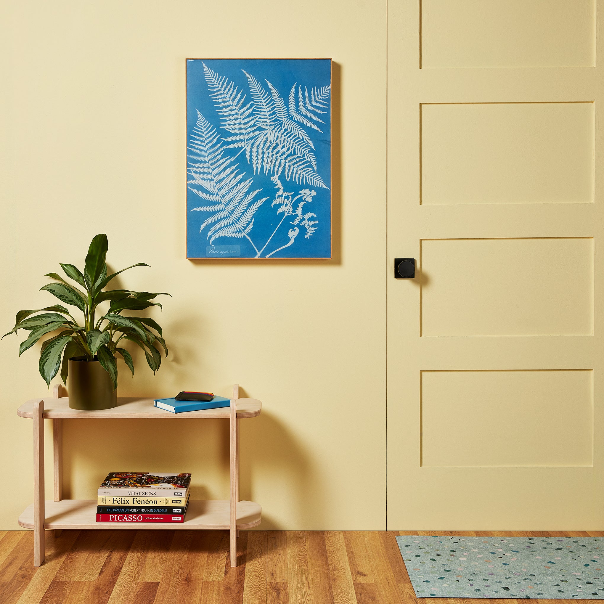Anna Atkins Pteris Aquilina Framed Print – MoMA Design Store