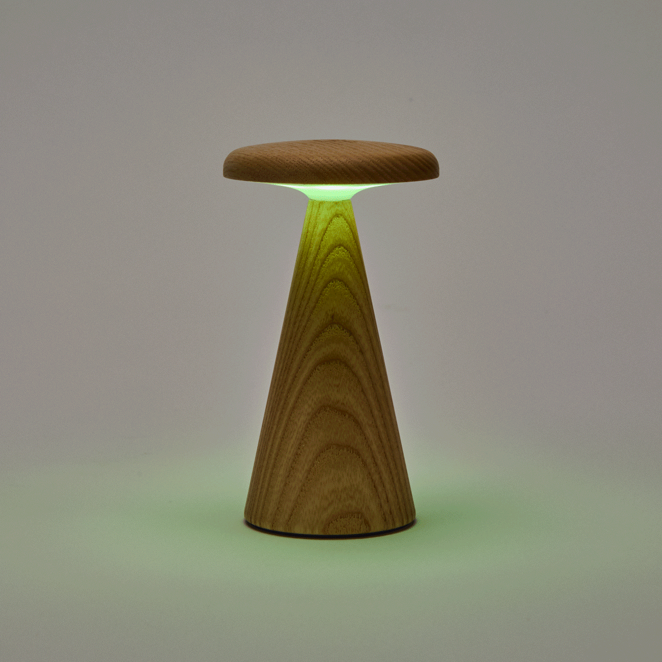Sylva Portable Lamp - Mini – MoMA Design Store
