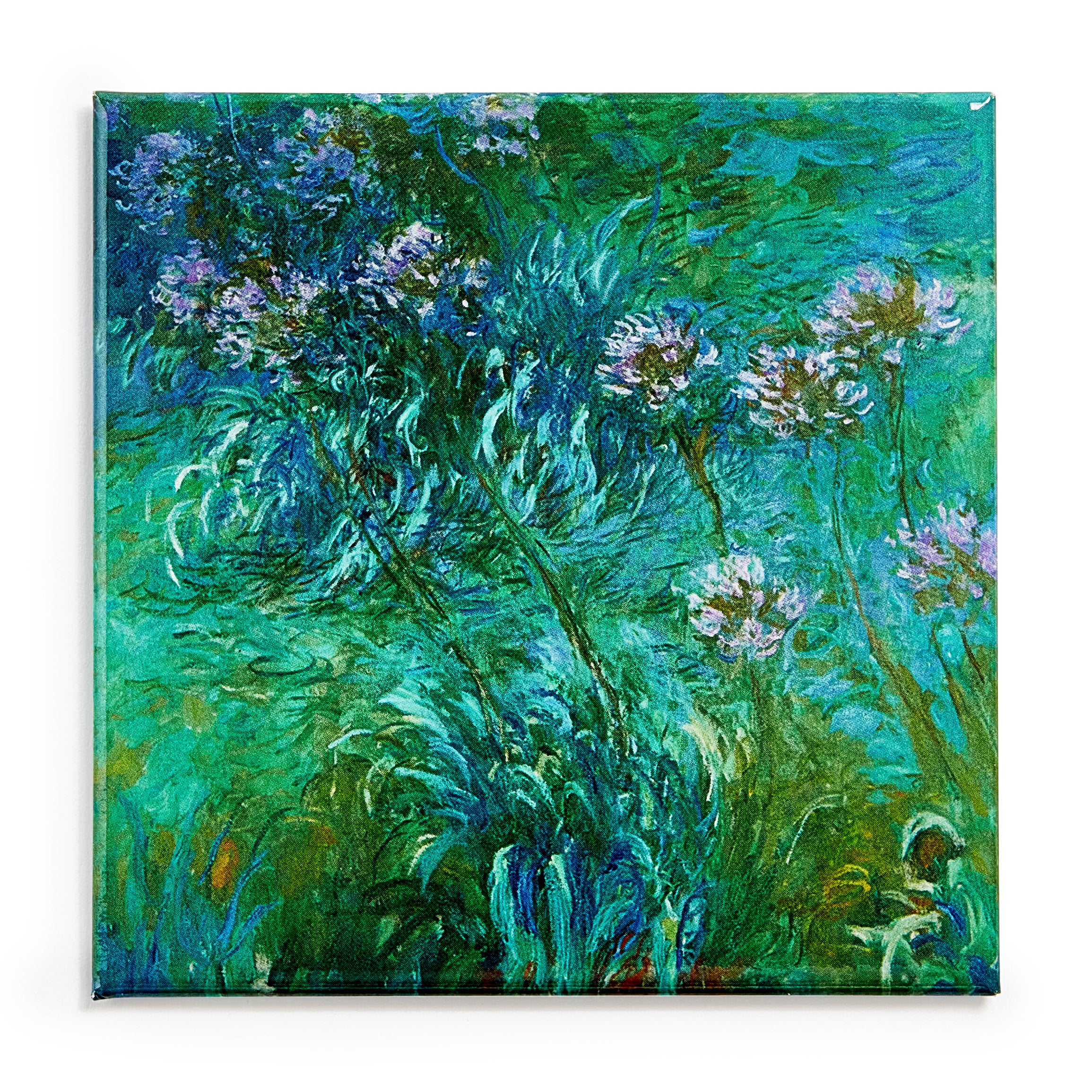 Claude Monet: Agapanthus Magnet – MoMA Design Store
