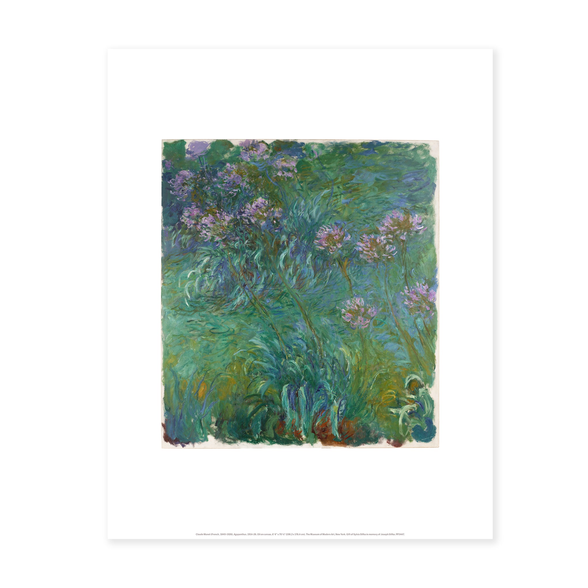 Monet: Agapanthus Print – MoMA Design Store