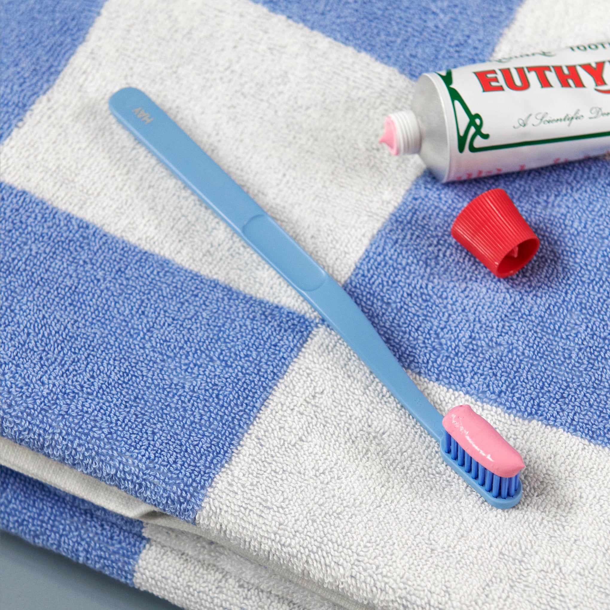 HAY Tann Recycled Plastic Toothbrush - Purple – MoMA Design Store