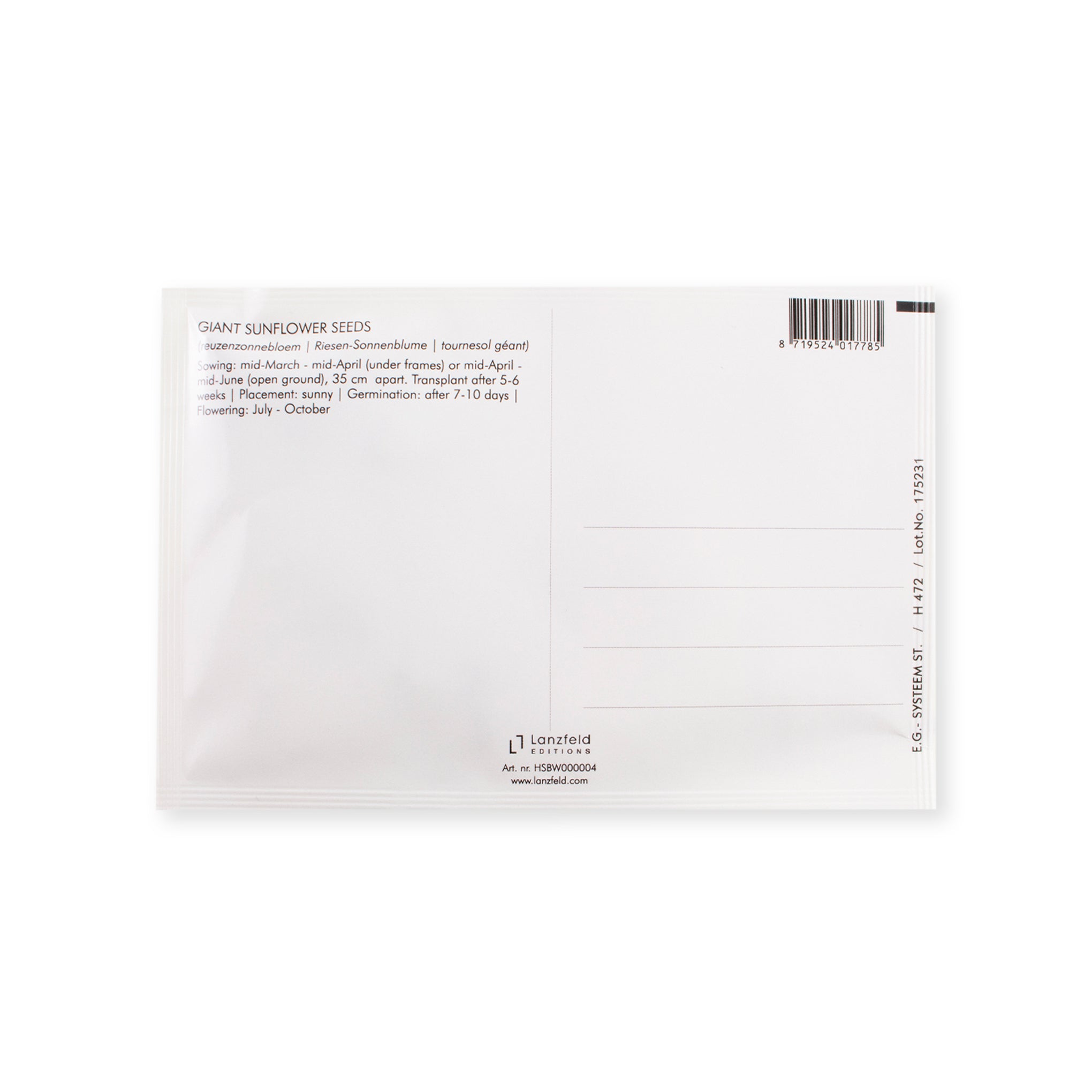 MoMA Artist Postcard Seed Packet - Van Gogh Giant Sunflower Mix – MoMA ...