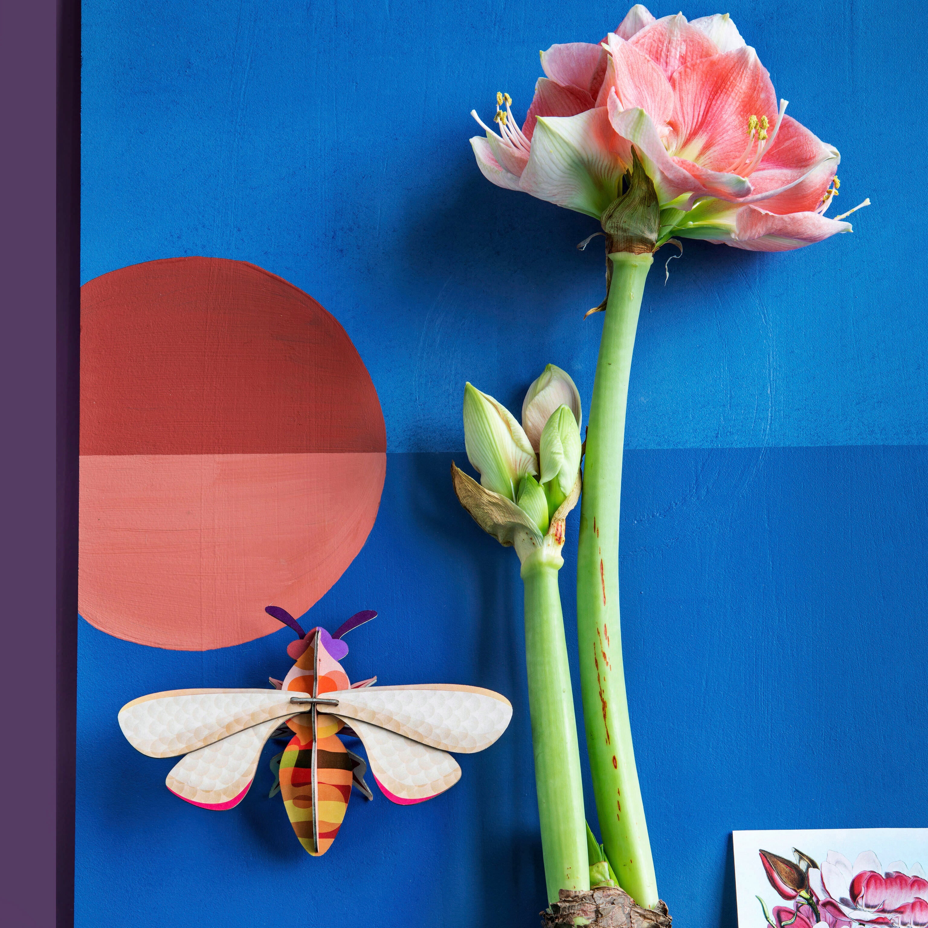 3D DIY Decorative Insects - Honey Bee – MoMA Design Store