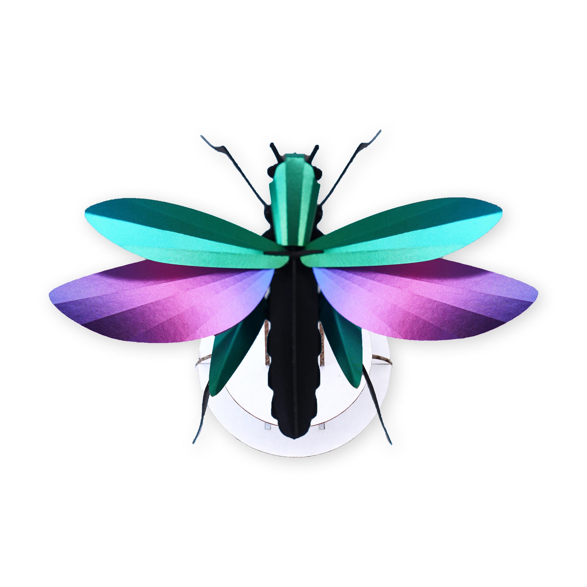 Creature 3D Puzzle DIY Kit - Grasshopper – MoMA Design Store