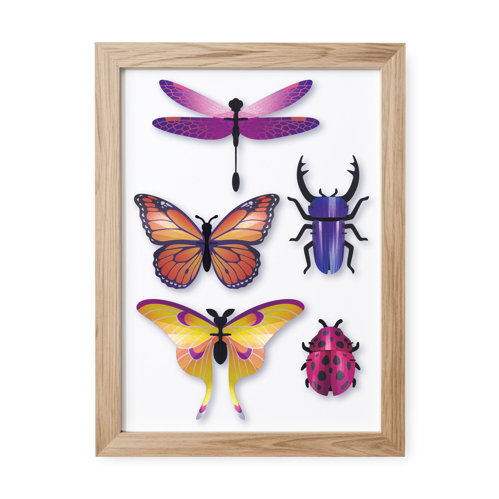 DIY 3D Shiny Insect Kit – MoMA Design Store